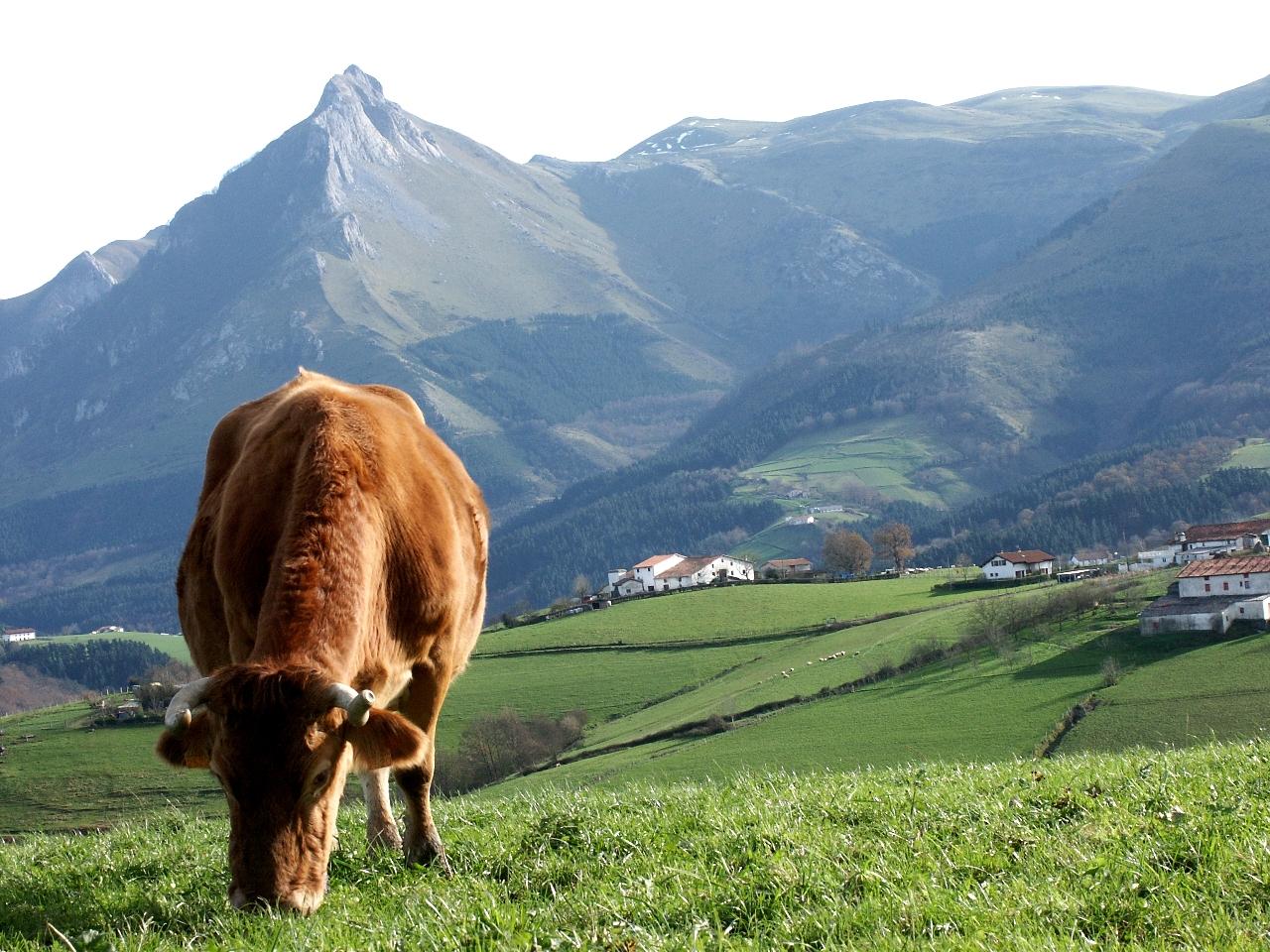 Parque Natural de Aralar | Destinos Euskadi